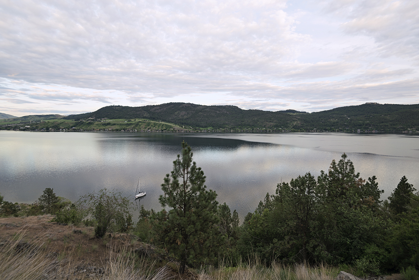 Local Landscapes | Covington Studio | Vernon Photographer